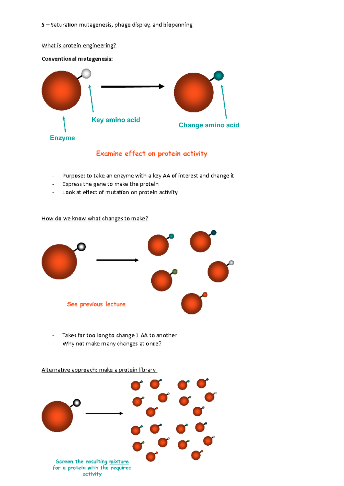 5 - saturation mutagenesis, phage display, and biopanning - What is ...