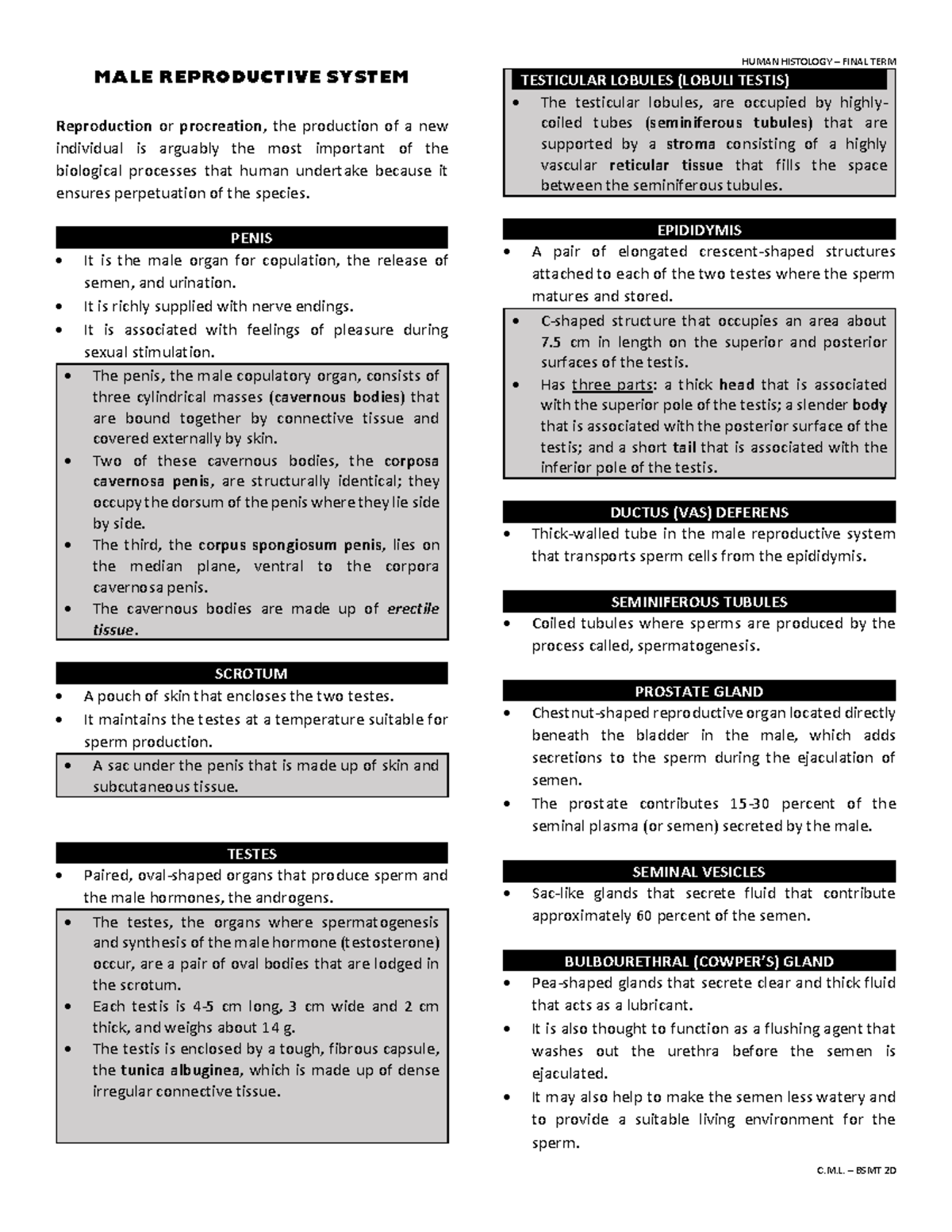 Reproductive System - MALE REPRODUCTIVE SYSTEM Reproduction or ...