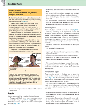 Anatomical position of the head and major landmarks - 450 Head and Neck ...