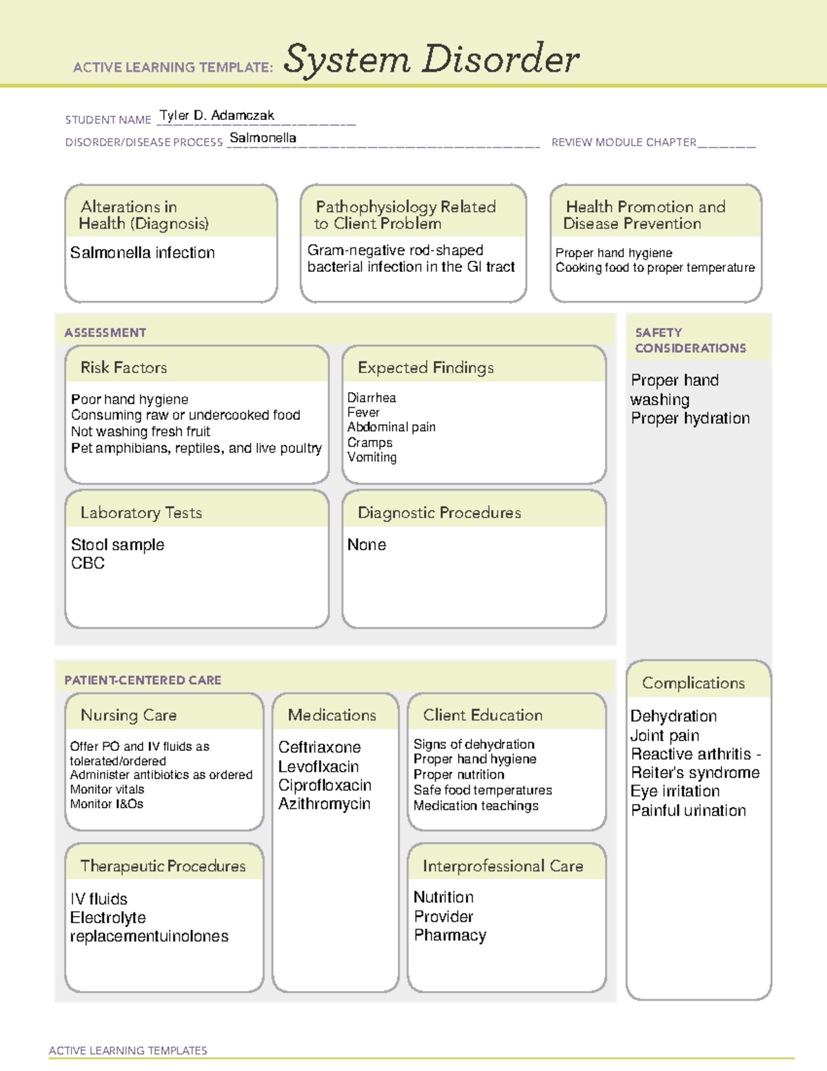 Salmonella Systems Disorder Template - ACTIVE LEARNING TEMPLATES System ...