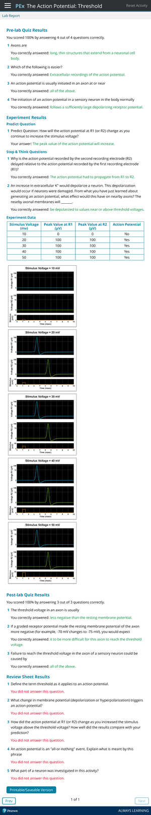 Neuroanatomy chart.xls - Sheet 1 study guide - Neuroanatomy Chart (p ...