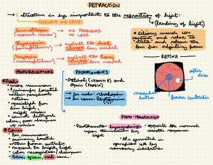 Unit 1: CNS Learning Memory - WHAT is LEARNING? _ SHORT - TERM LONG ...