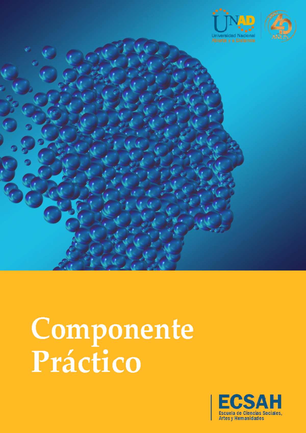 Componente Prctico Psicologa - Componente Pr·ctico INTRODUCCI”N El Componente Pr·ctico dentro de ...