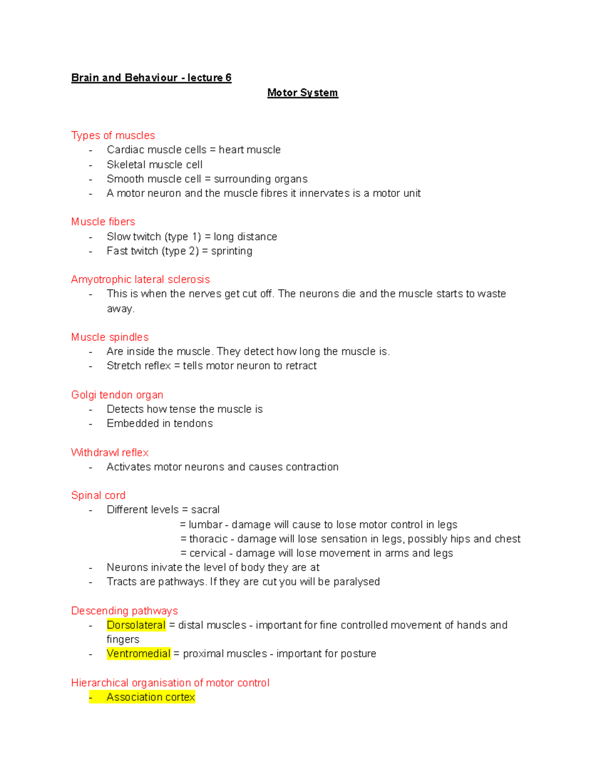 Brain And Behavious Lecture 6 Motor System Brain And Behaviour Lecture 6 Motor System
