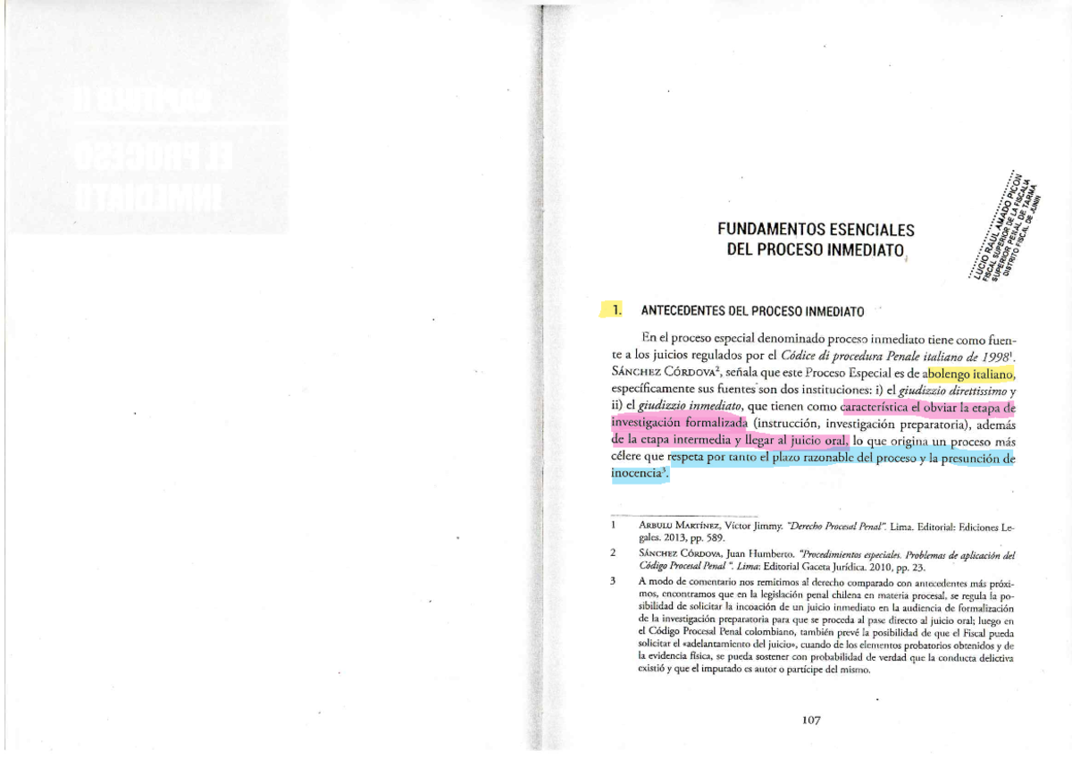 El Proceso Inmediato - THE I E DE FUNDAMENTOS ESENCIALES NO DEL PROCESO ...