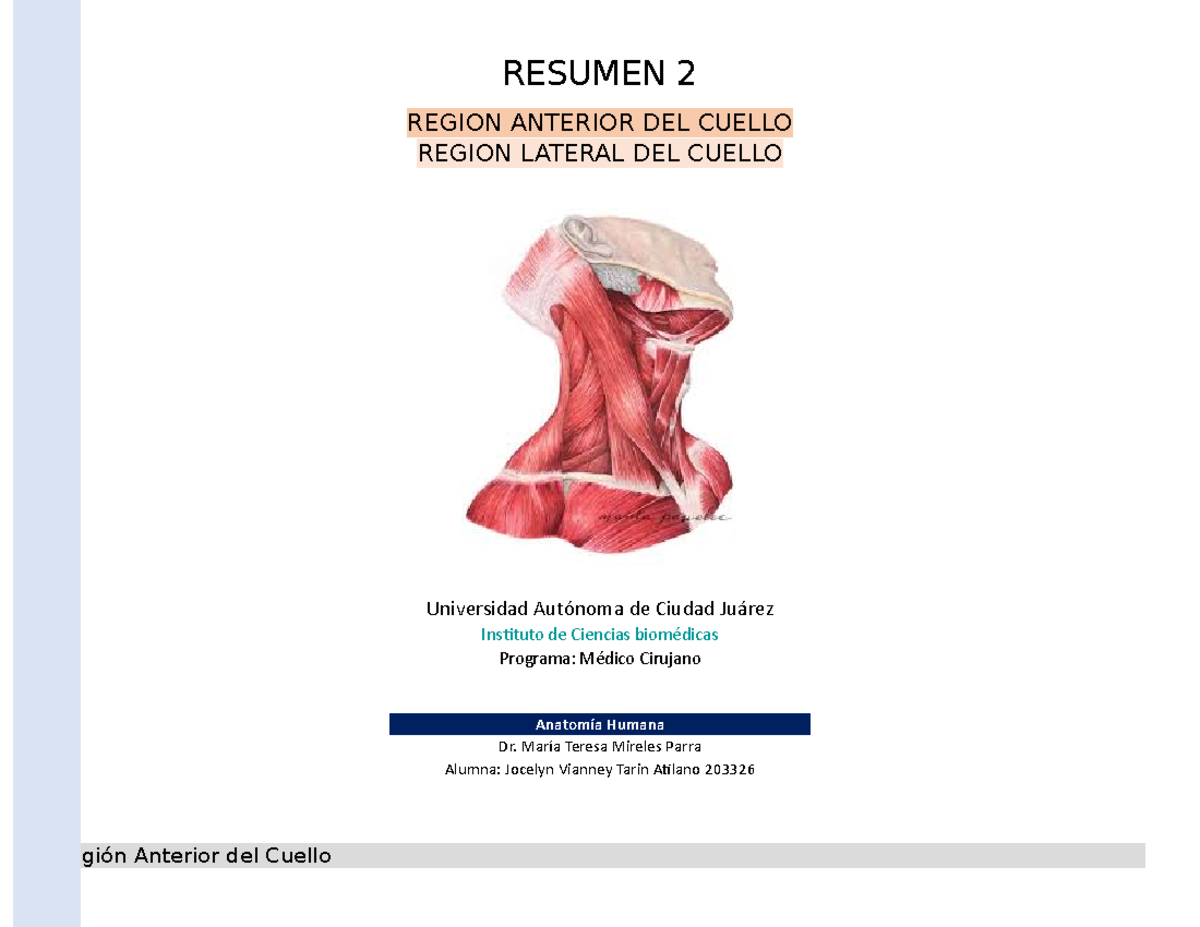 Resumen Region Anterior Y Lateral DEL Cuello - RESUMEN 2 REGION ...