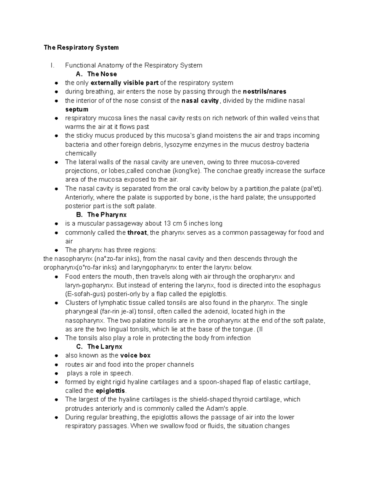 The Respiratory System An Outline - The Respiratory System I ...