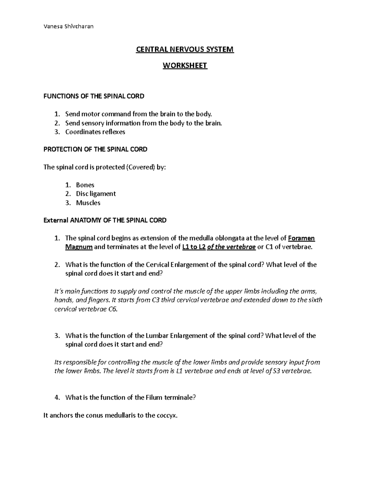 BIO252 Assignment 3 - n/a - CENTRAL NERVOUS SYSTEM WORKSHEET FUNCTIONS ...