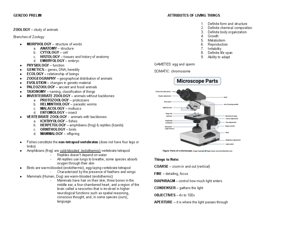 GenZoo Prelim Notes - GENZOO PRELIM ZOOLOGY – study of animals Branches ...