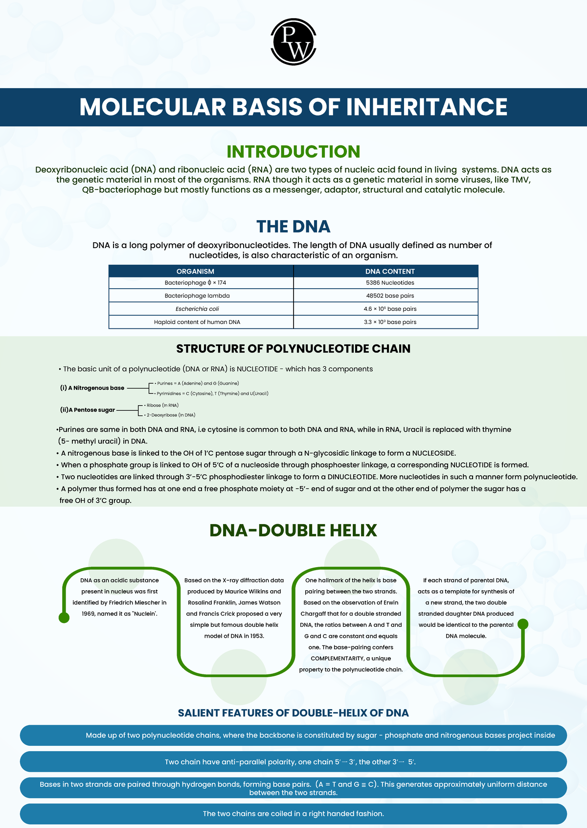 Molecular Basis of Inheritance Mind Map - MOLECULAR BASIS OF ...