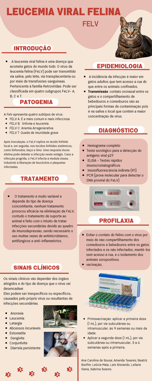 FELV: Vírus da leucemia felina - A incidência da infecção é maior em ...