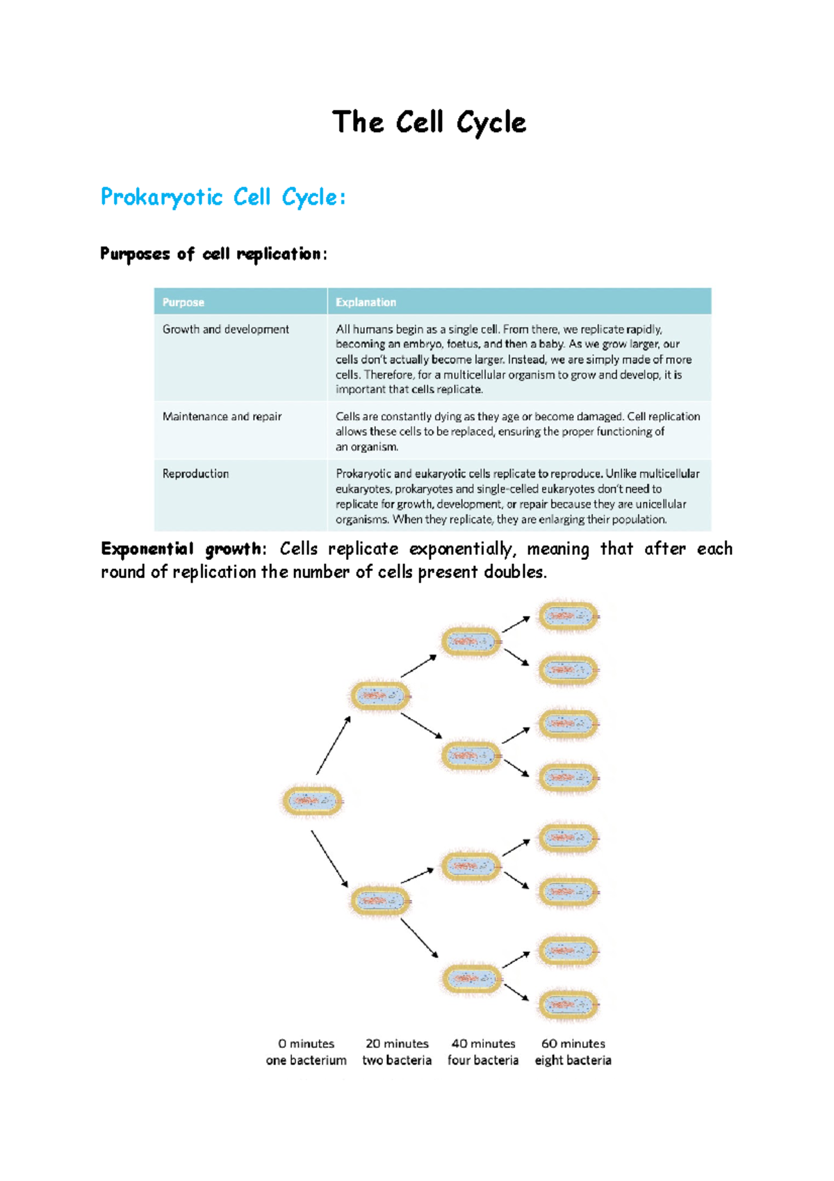The cell cycle - ........ - The Cell Cycle Prokaryotic Cell Cycle ...