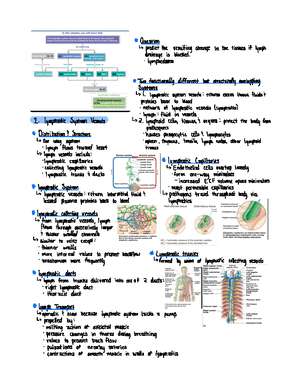Chapter 1 The Human Body an orientation - Bio 216 - Studocu