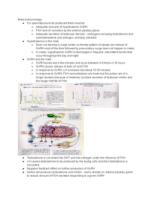 ANSC 3122 Exam 3 Study Guide 6 - There is an acrosome reaction site on ...