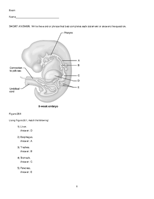 Anatomy Study Guide Exam 2 (Ch 17, 18, and 19) - Study Guide Exam 2 ...