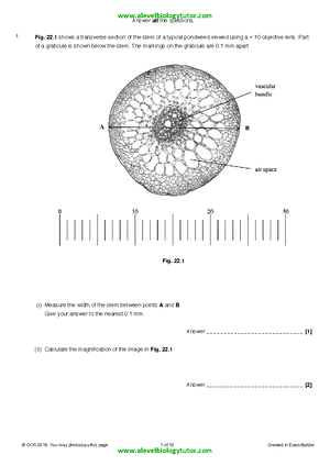 Practicle 9 - Practical write up - Required Practical 9: Yeast ...