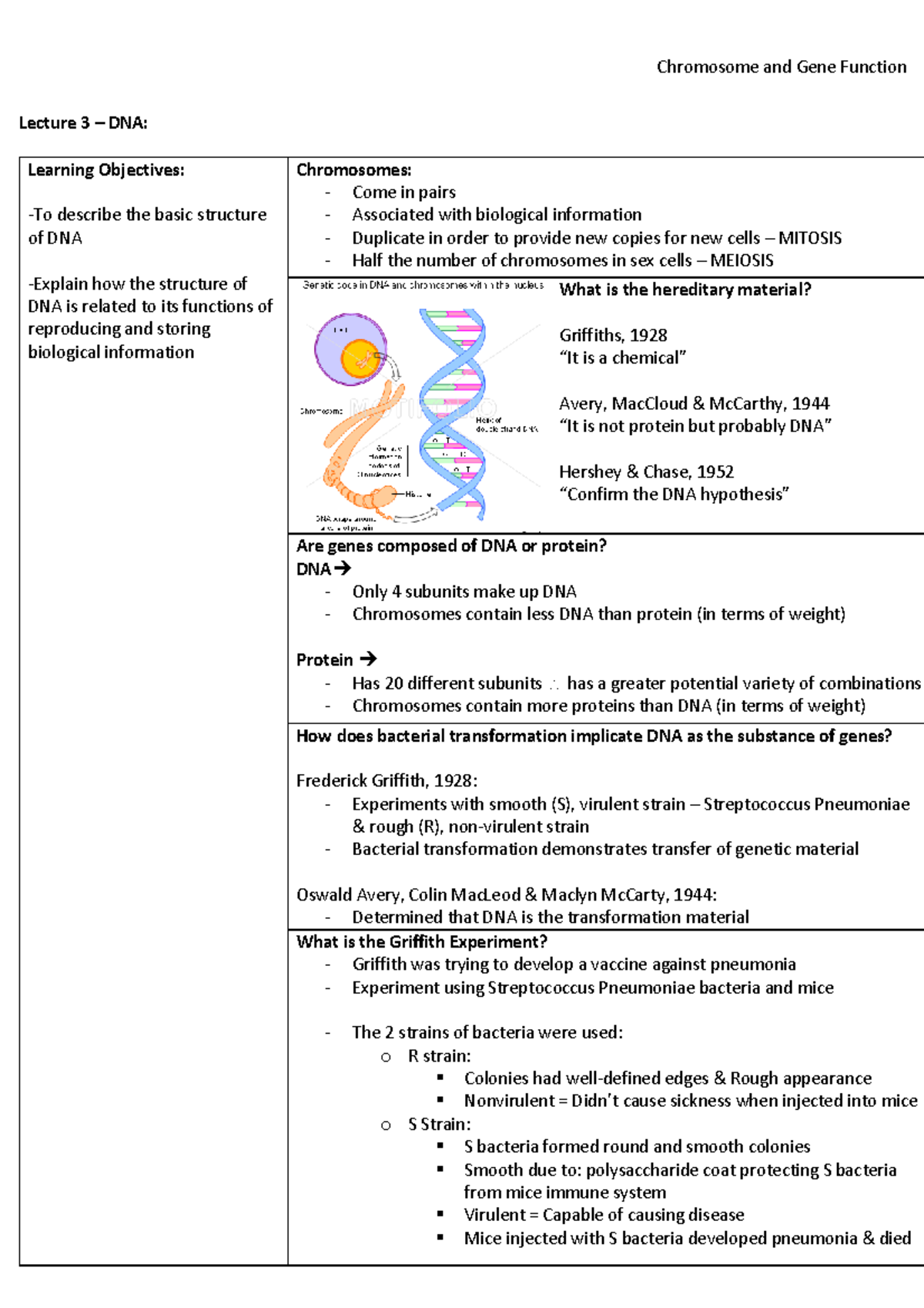 Lecture 5 & 6 - DNA - Chromosomes and Gene Functions - Lecture 3 – DNA ...