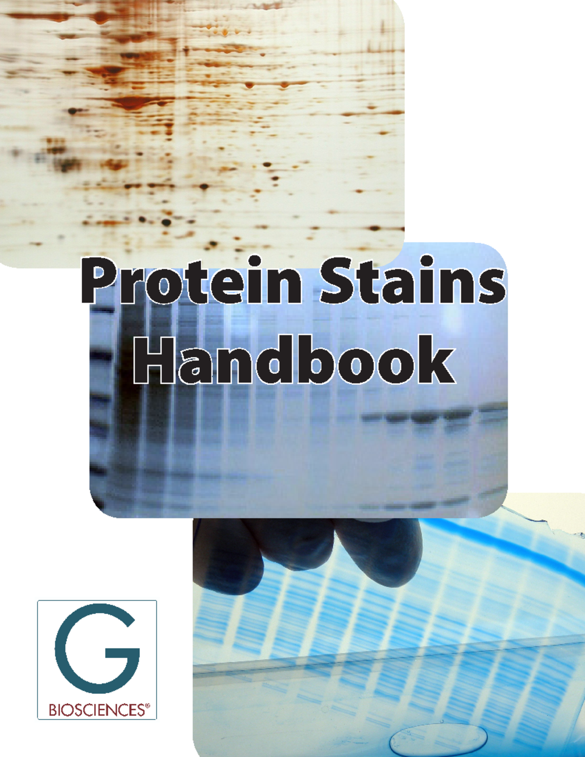 Gbiosc Protein Stain Handbook - Protein Stains Handbook A Selection ...