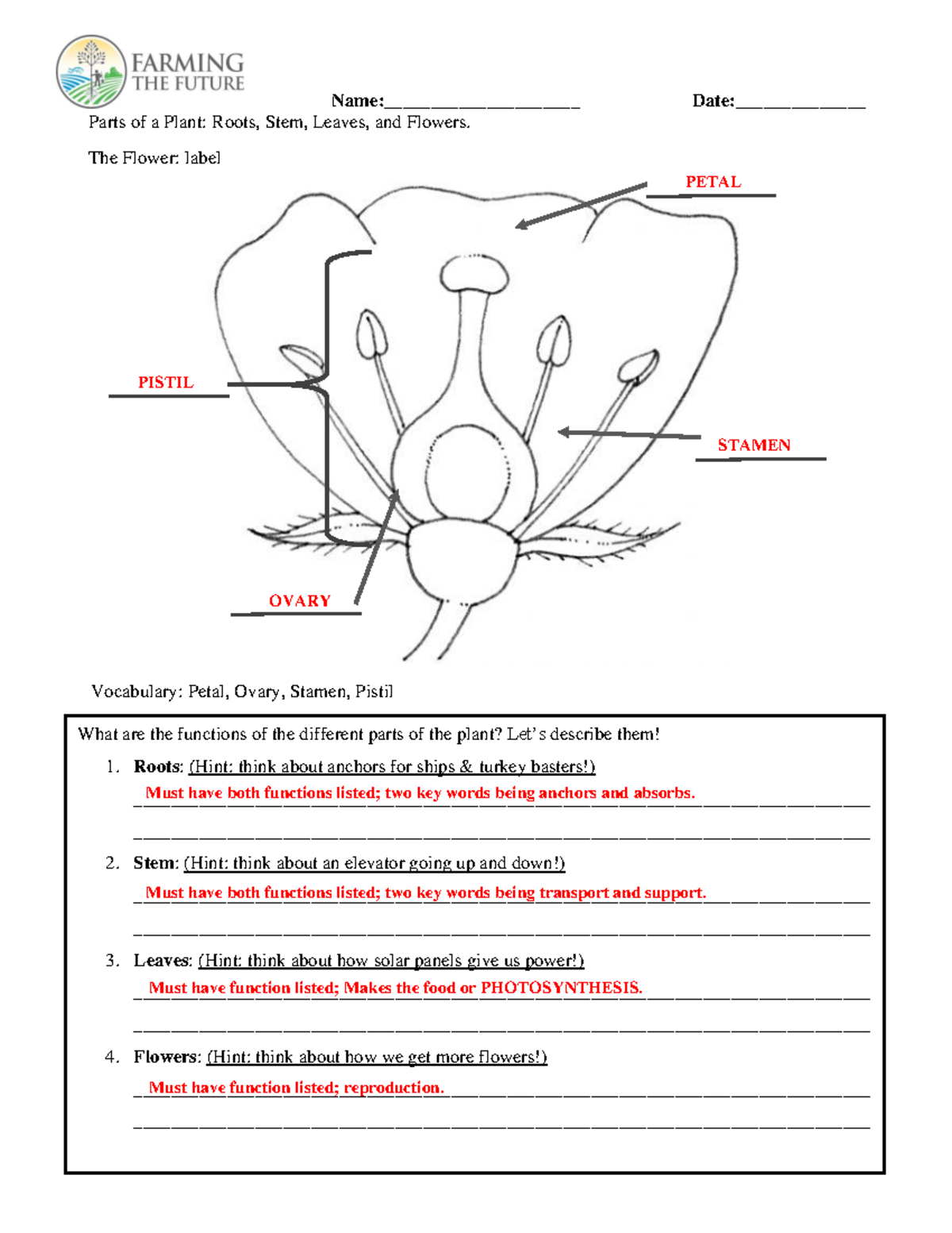 Flowerwkst KEY - flower parts worksheet key - Name ...