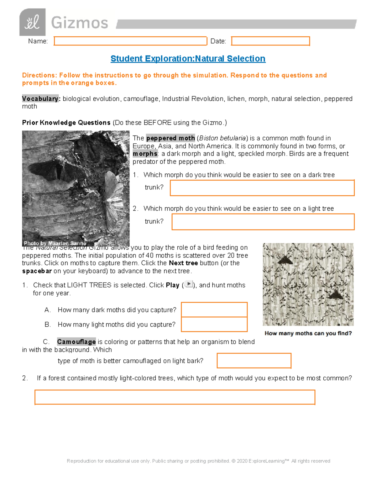 Gizmos Natural Selection SE - Name: Date: Student Exploration:Natural ...