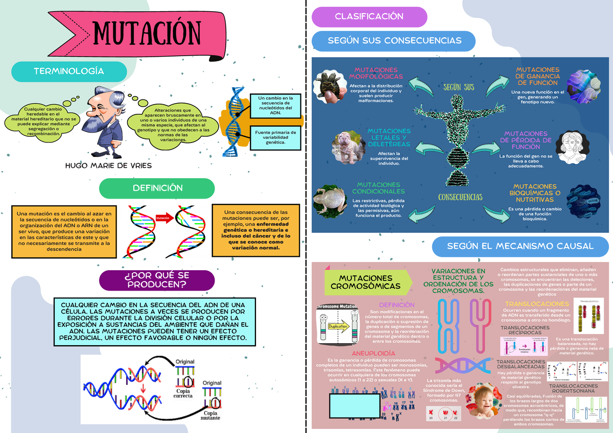 TEMA Periódico de mutación - Afectan la supervivencia del individuo ...