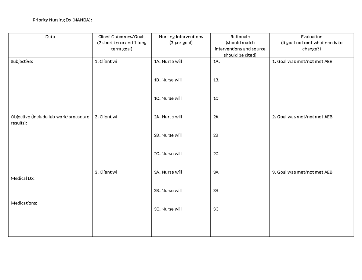 Care Plan Template 2 - Priority Nursing Dx (NANDA): Data Client ...