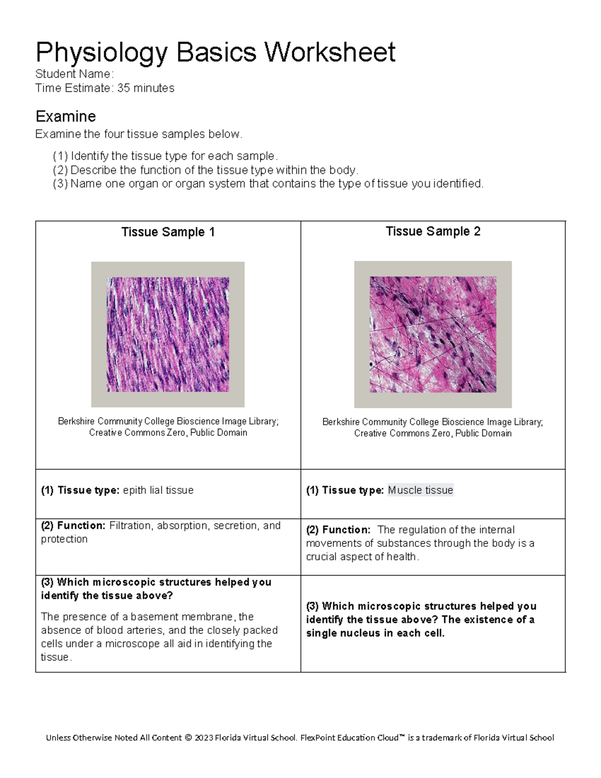 Physiology basics worksheet - Physiology Basics Worksheet Student Name: Time Estimate: 35 ...