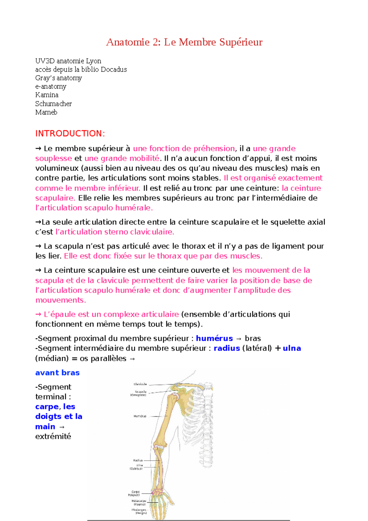 Anatomie 2 - Le membre supérieur: ceinture scapulaire, bras, avant bras ...