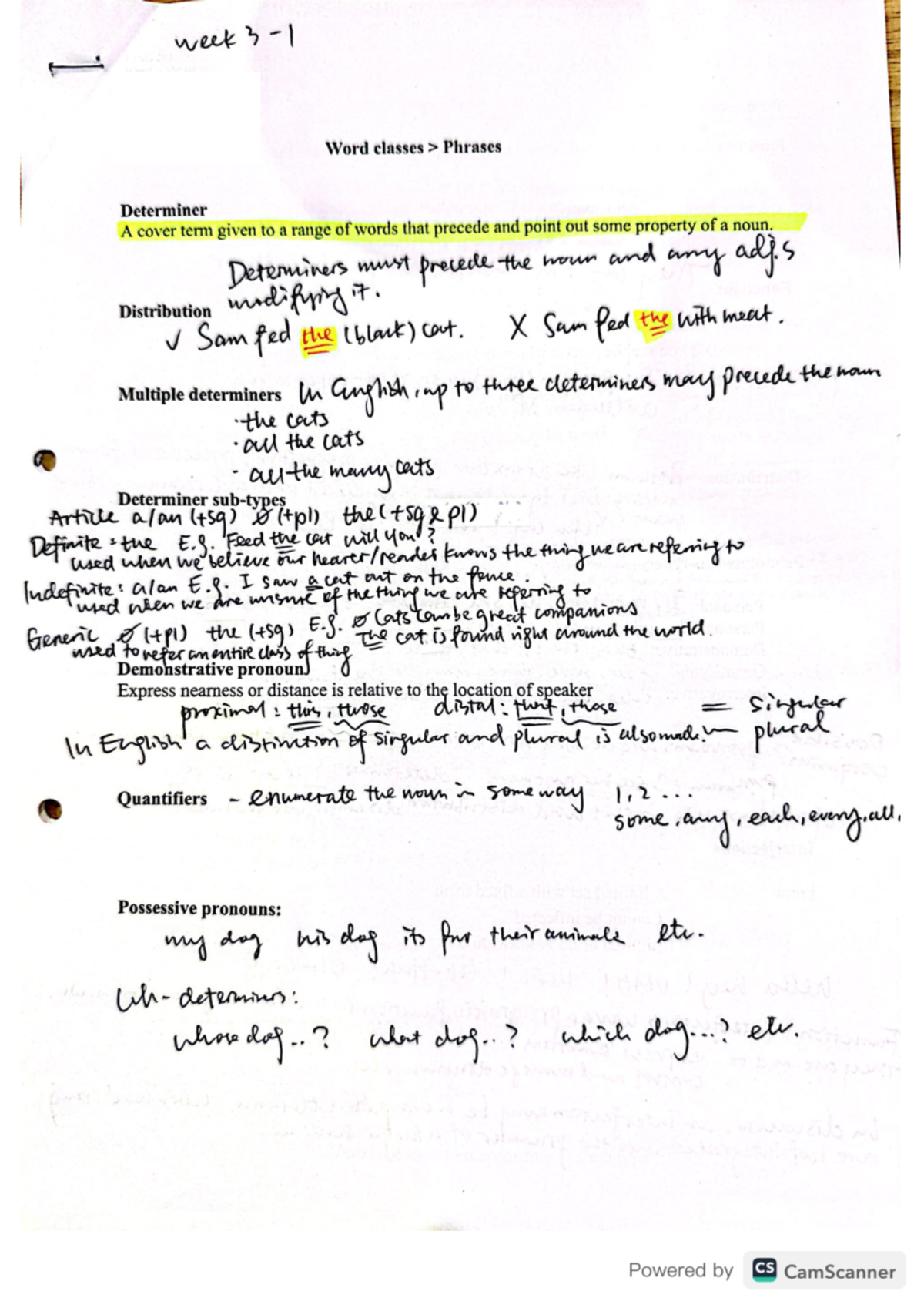 Week 3-1 - Week 3 Lecture 1 - Applied English Grammar - AucklandUni ...