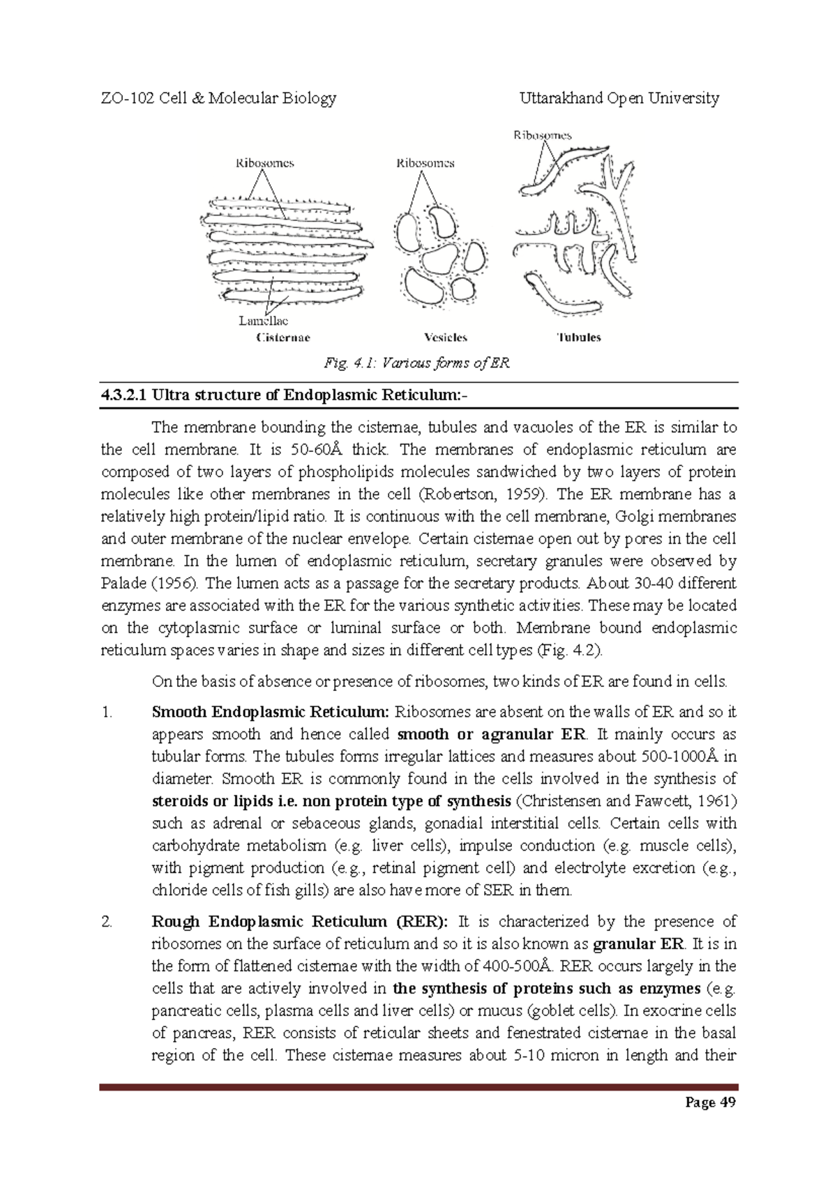 Immune Response Mechanisms - Fig. 4: Various forms of ER. 4.3.2 Ultra ...