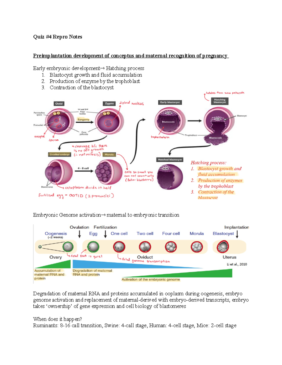 Quiz #4 - quiz. four - Quiz #4 Repro Notes Preimplantation development ...