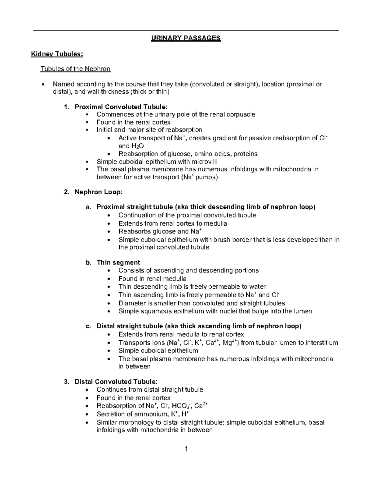 Urinary Passages Lecture Notes - lec 34 - 1 URINARY PASSAGES Kidney ...