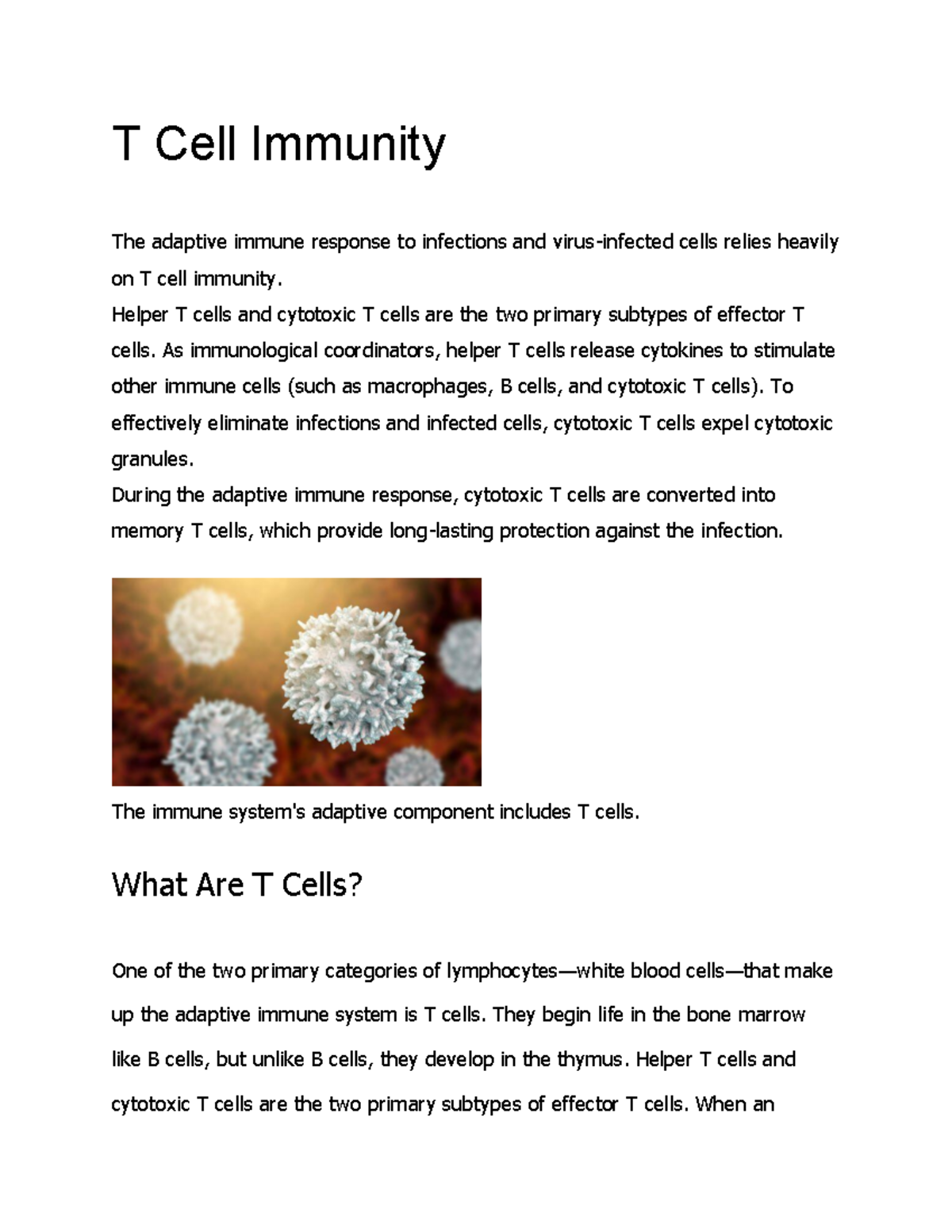 T Cell Immunit 1 - T Cell Immunity The adaptive immune response to ...