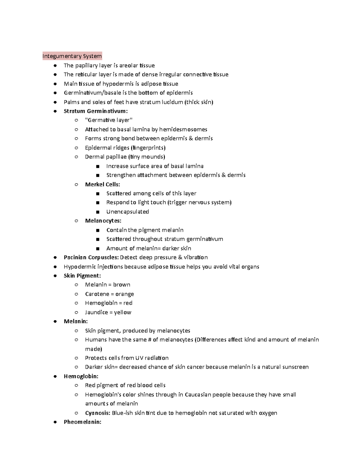 Integumentary System Notes - Integumentary System The papillary layer ...