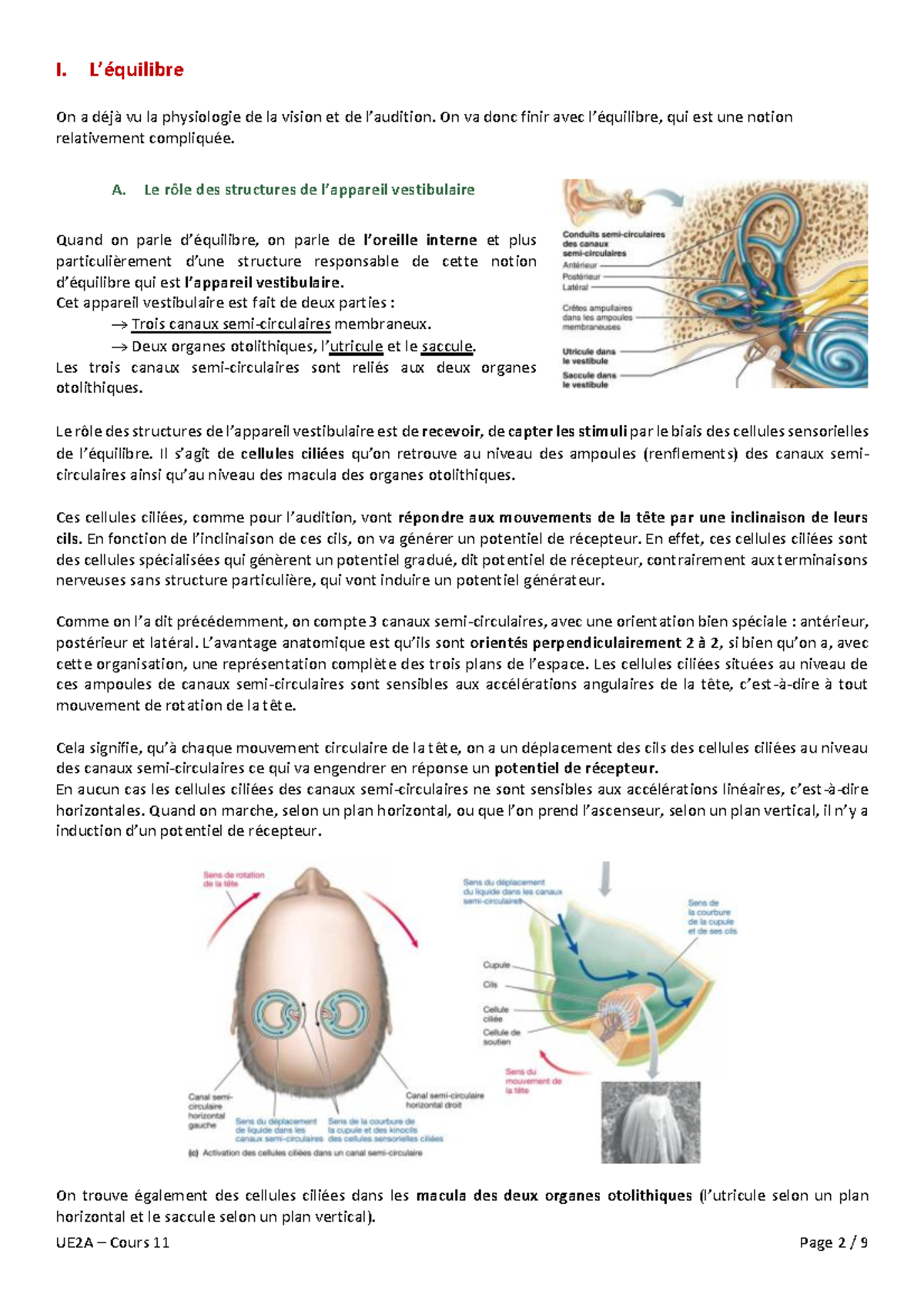 Ue2a Cours 11 Warning Tt Undefined Function 22 Warning Tt Undefined Function 22 8264
