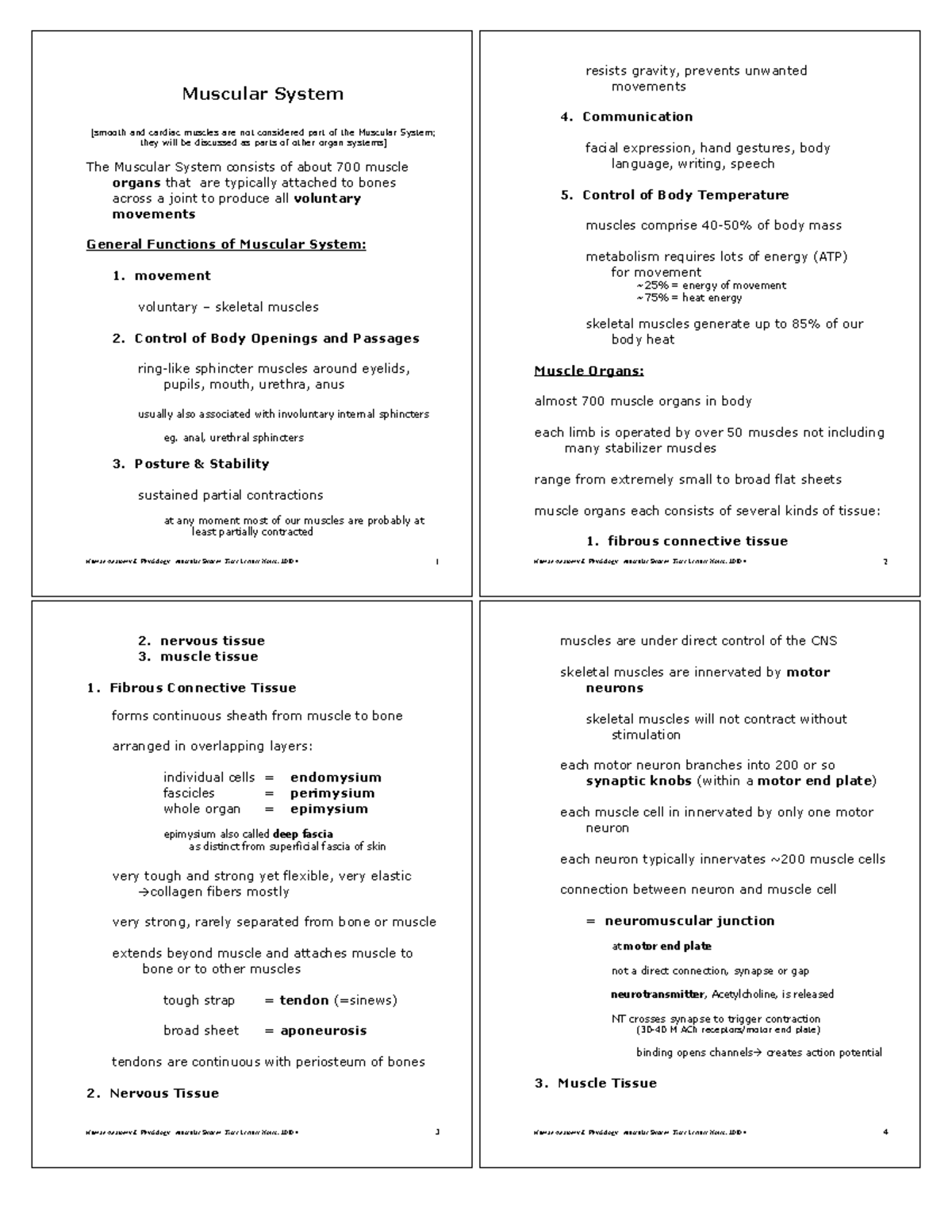 D.Muscular System - Notes - Human Anatomy & Physiology: Muscular System ...