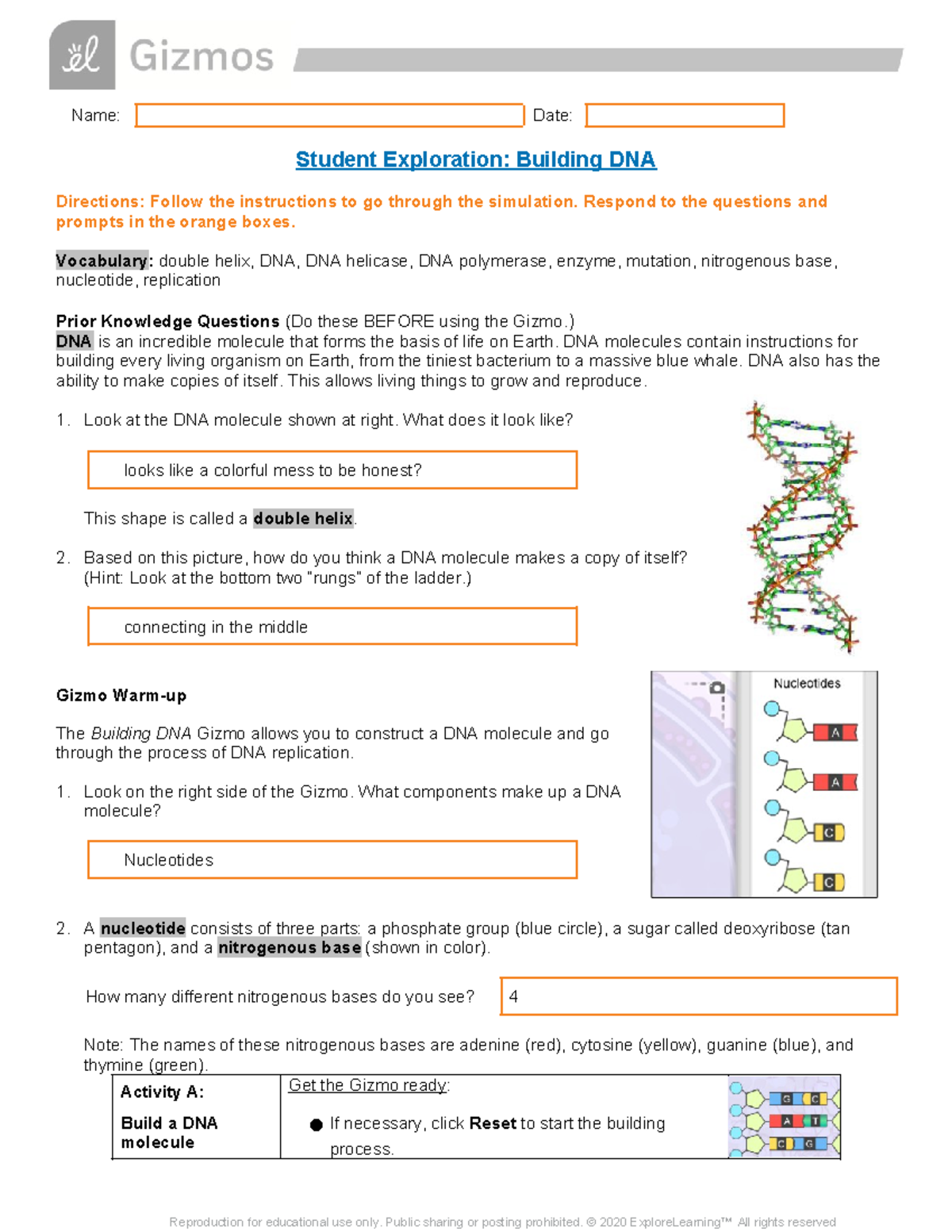 Kassim Jah - New Building DNA Gizmo - Name: Date: Student Exploration ...