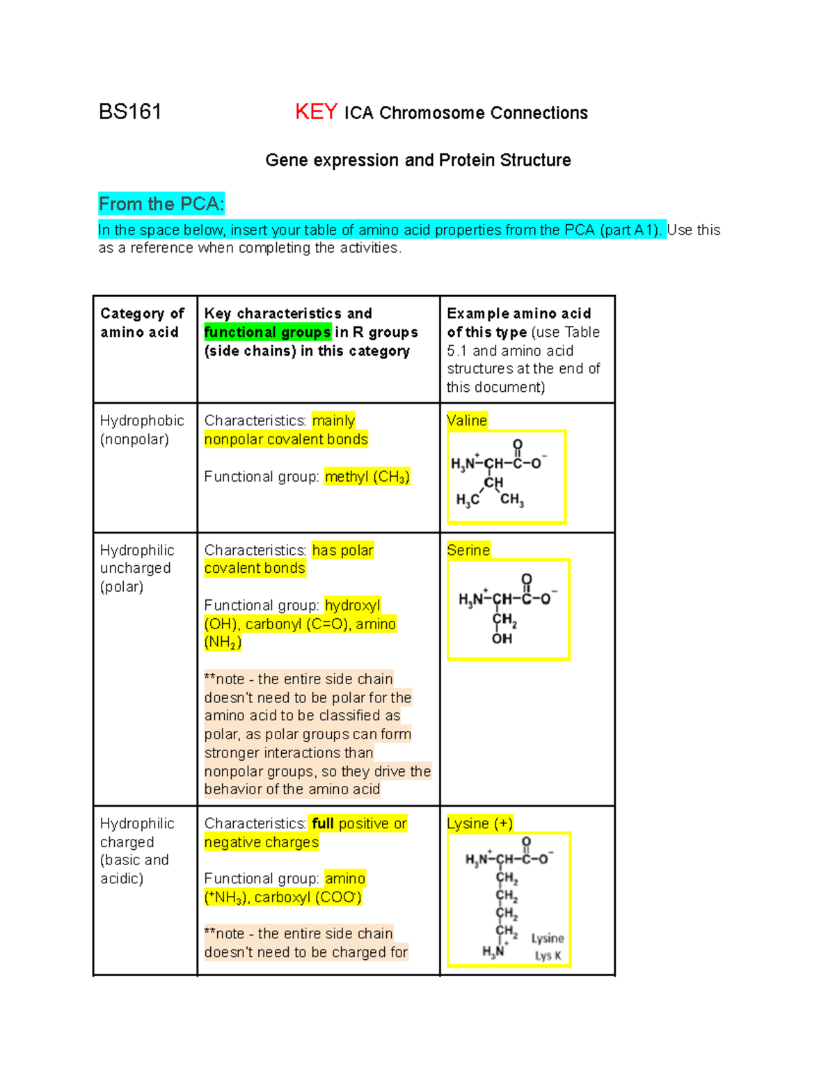 06 KEY ICA CC Gene Expression & Protein Structure - BS161 KEY ICA ...