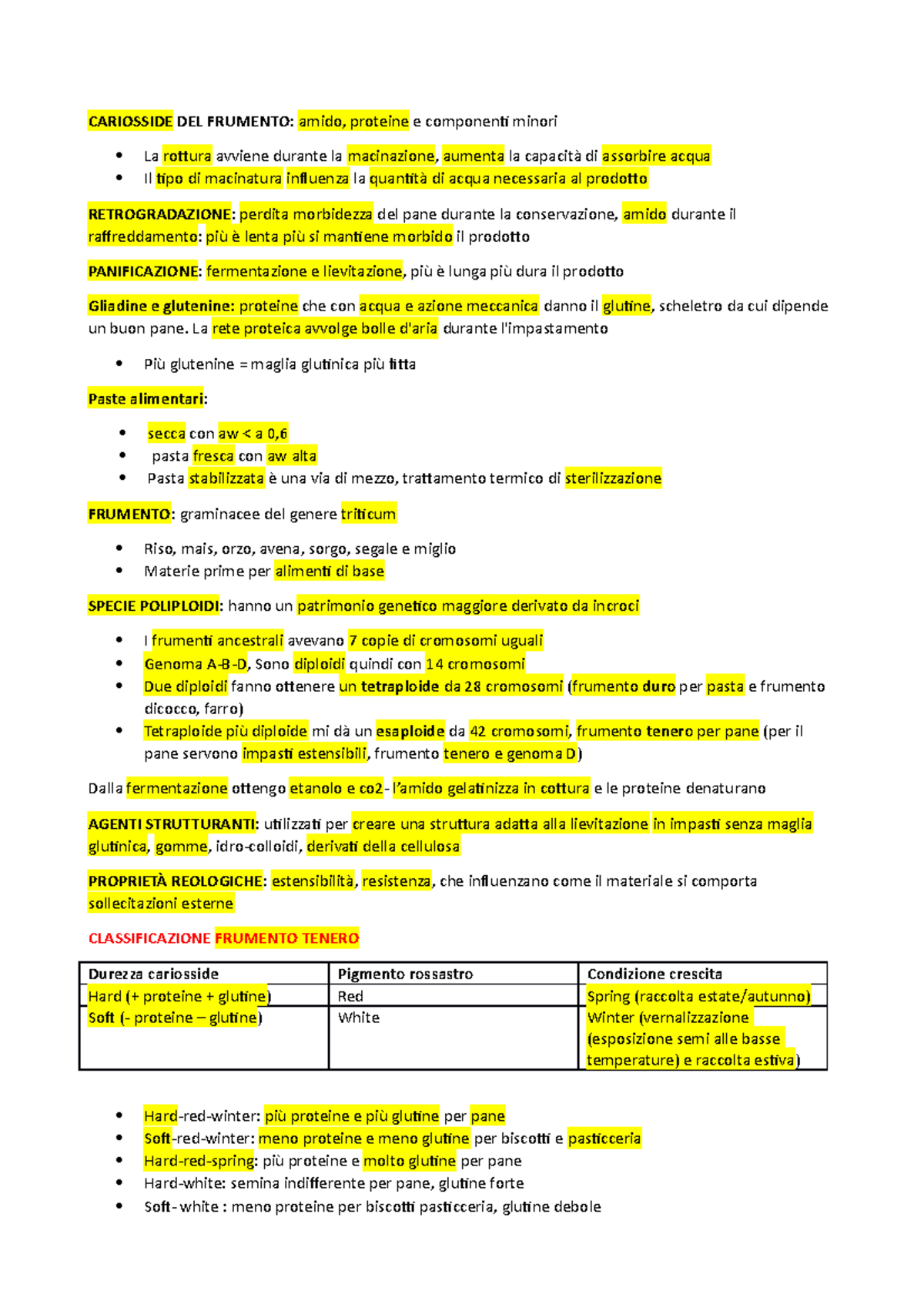 TECH Pasta E Forno - CARIOSSIDE DEL FRUMENTO: amido, proteine e ...