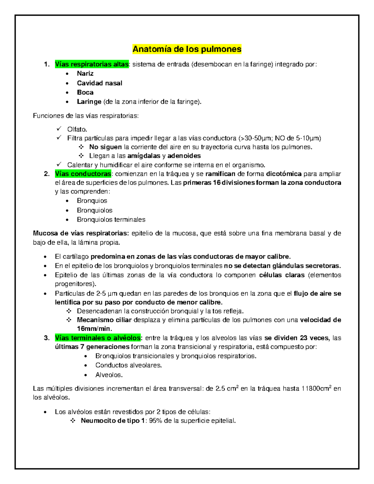FISIOLOGÍA DEL APARATO RESPIRATORIO - Anatomía de los pulmones Vías ...