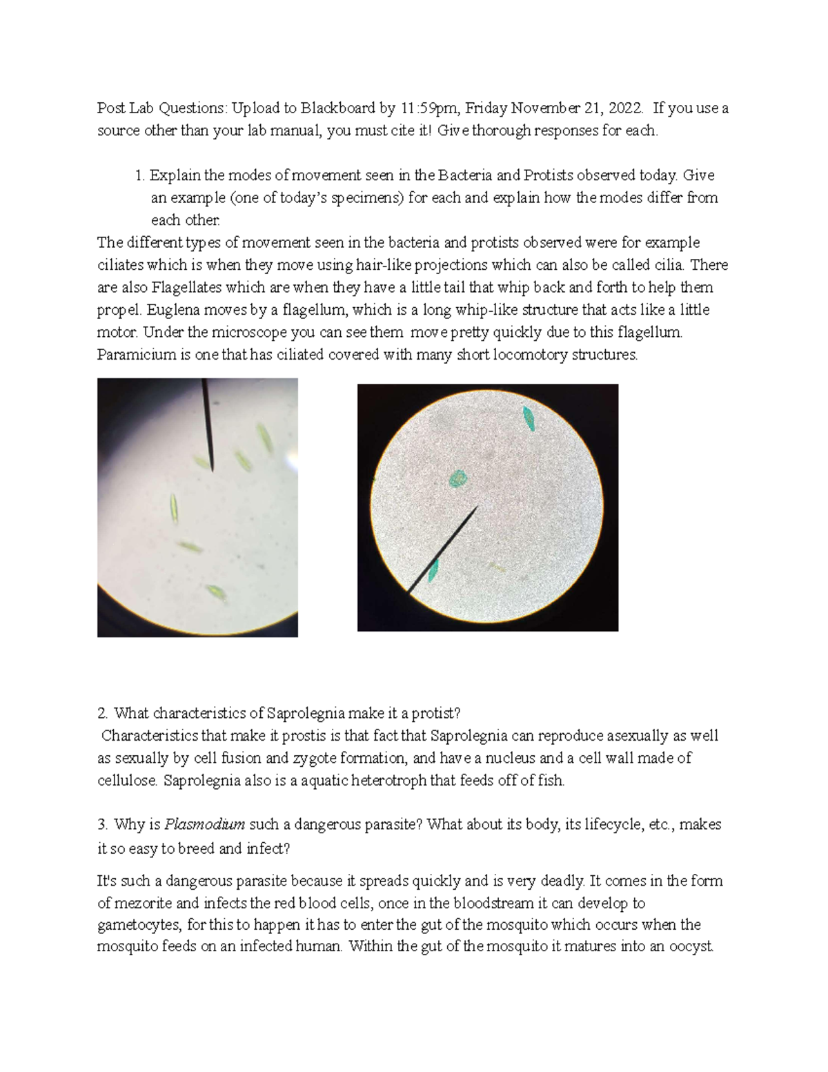 Post lab questions - post lab for 1st or 2nd lab - Post Lab Questions ...