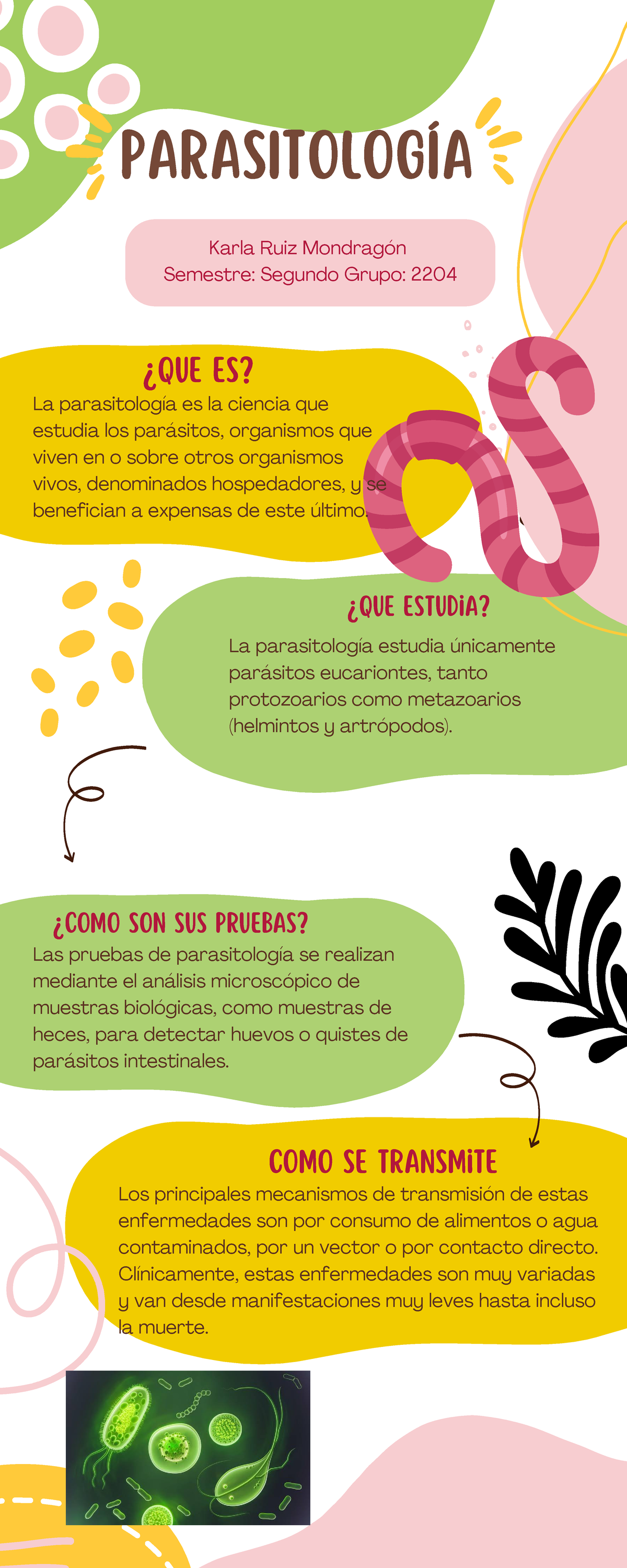 Infografia Parasitologia - PARASITOLOGÍA ¿Que estudia? ####### La ...