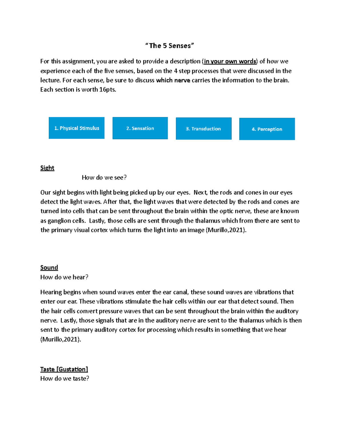 Sensation and Perception Application Worksheet - “The 5 Senses” For ...