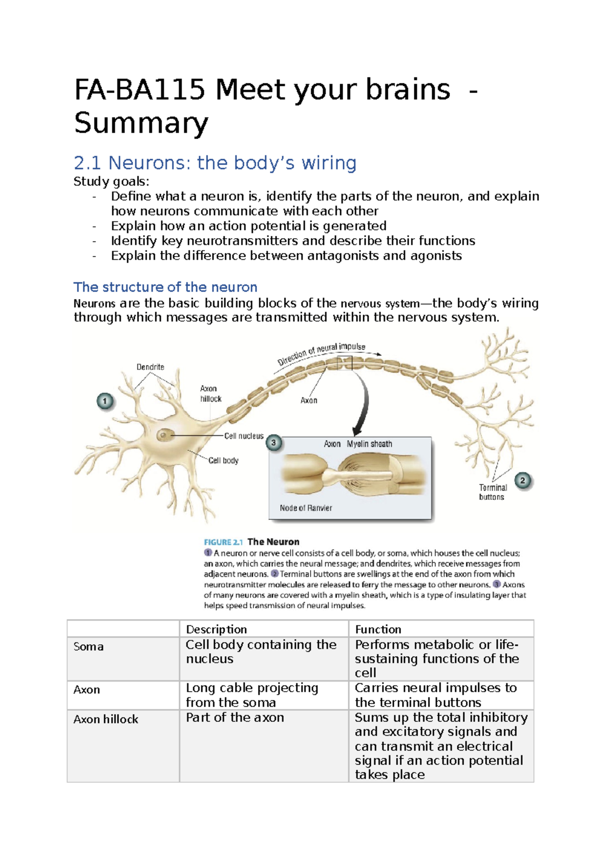 FA-BA115 Samenvatting - FA-BA115 Meet your brains - Summary 2 Neurons ...