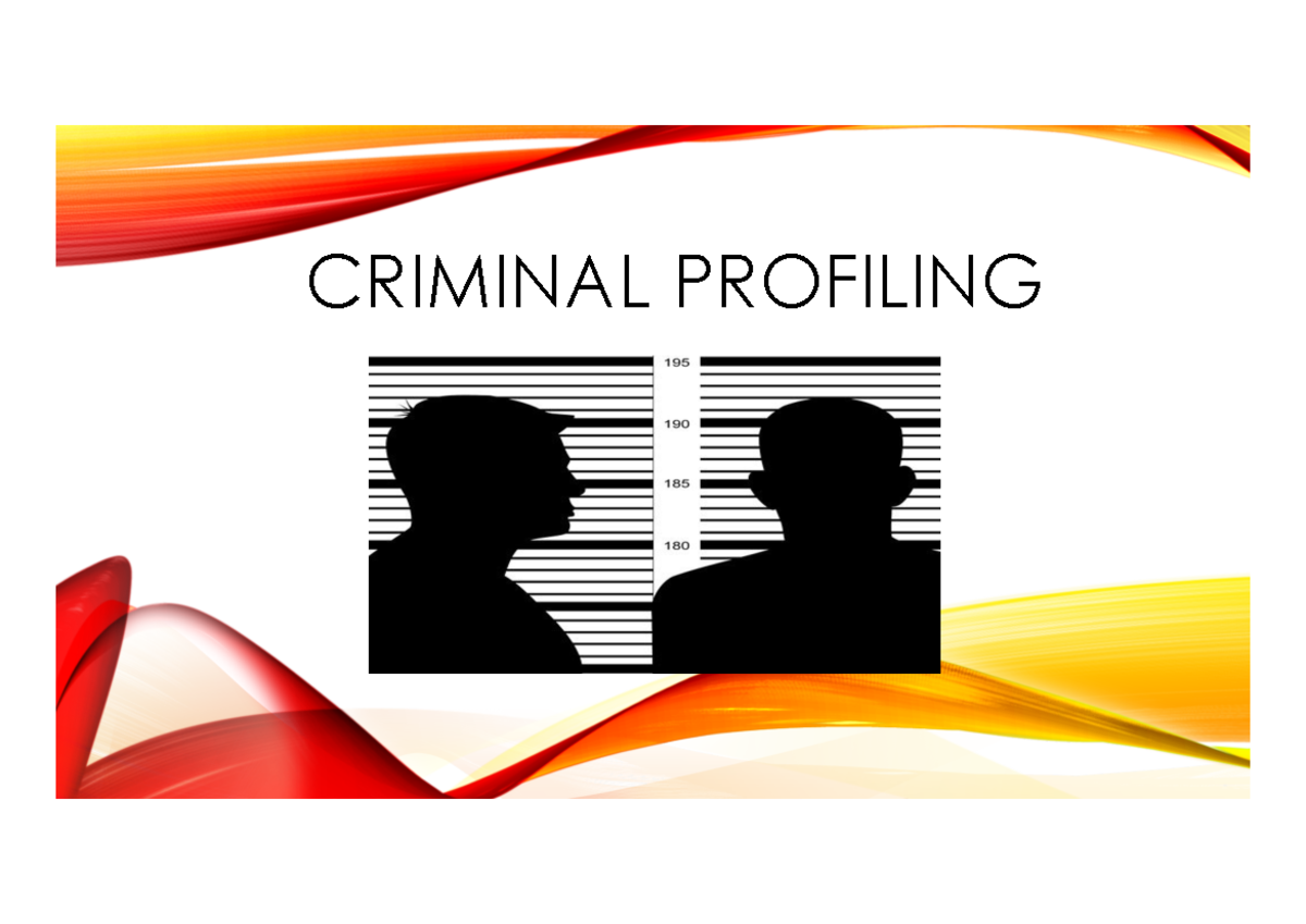 2. BEA Criminal Profile - CRIMINAL PROFILING DISCLAIMER Be warned, the ...