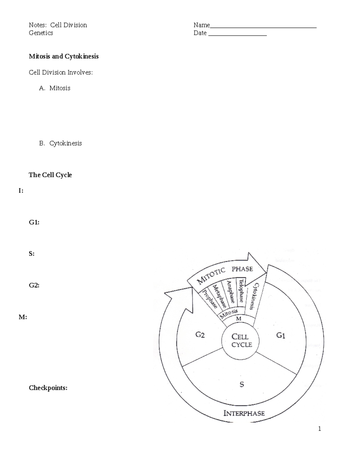 Mitosis Notes - Notes: Cell Division Name ...