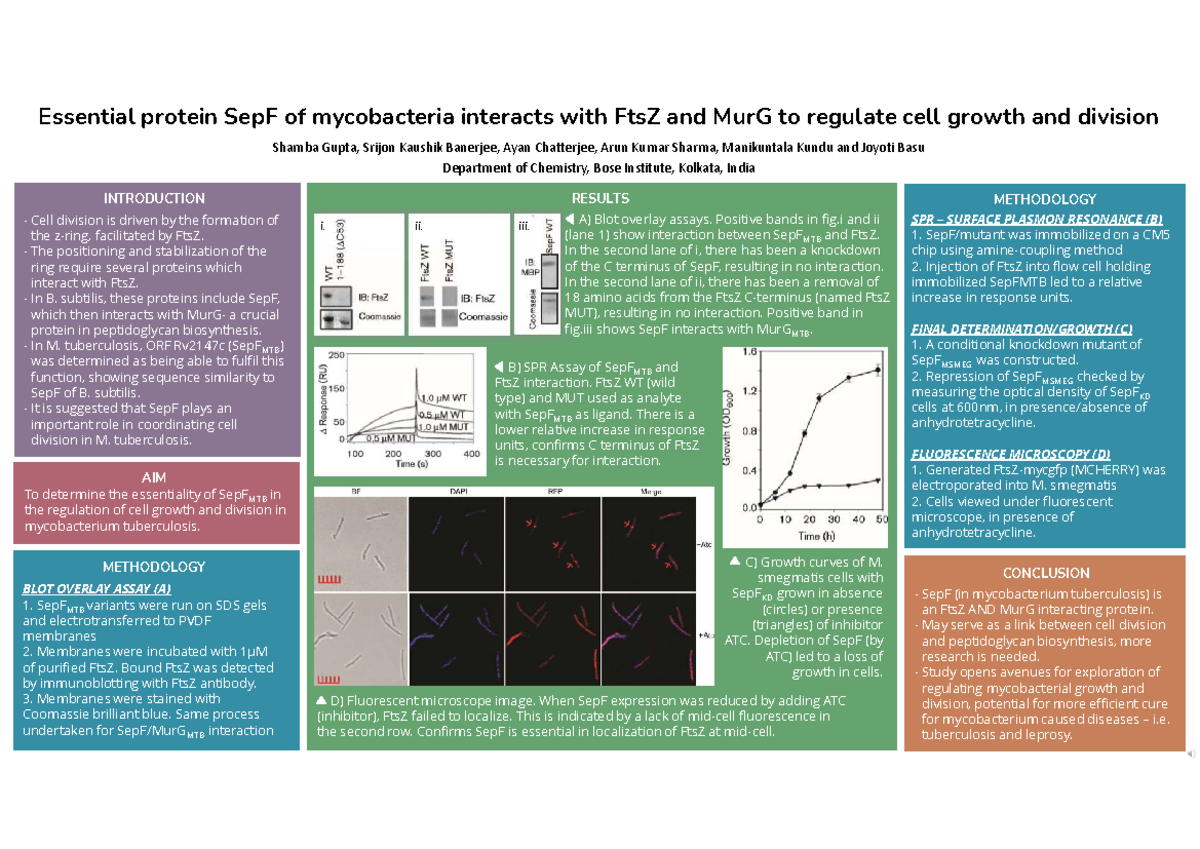Cell Biology and Genetics Poster Assignment - INTRODUCTION Cell ...