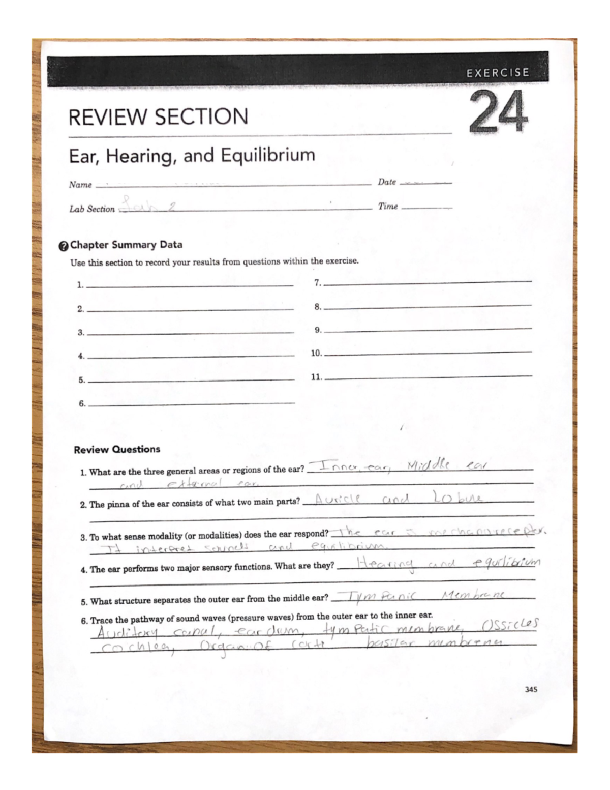 Ear, Hearing, and Equilibrium Answers - BIOL 237 - Studocu