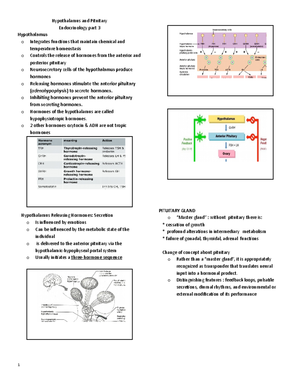 Lesson 6 - Lecture notes 6 - Hypothalamus and Pituitary Endocrinology ...