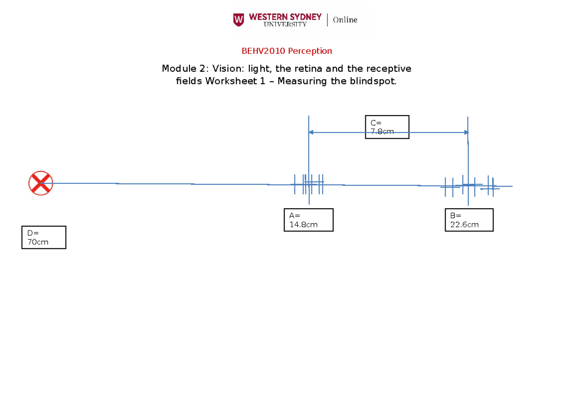 Worksheet 1 - Measuring the blindspot - BEHV2010 Perception Module 2 ...